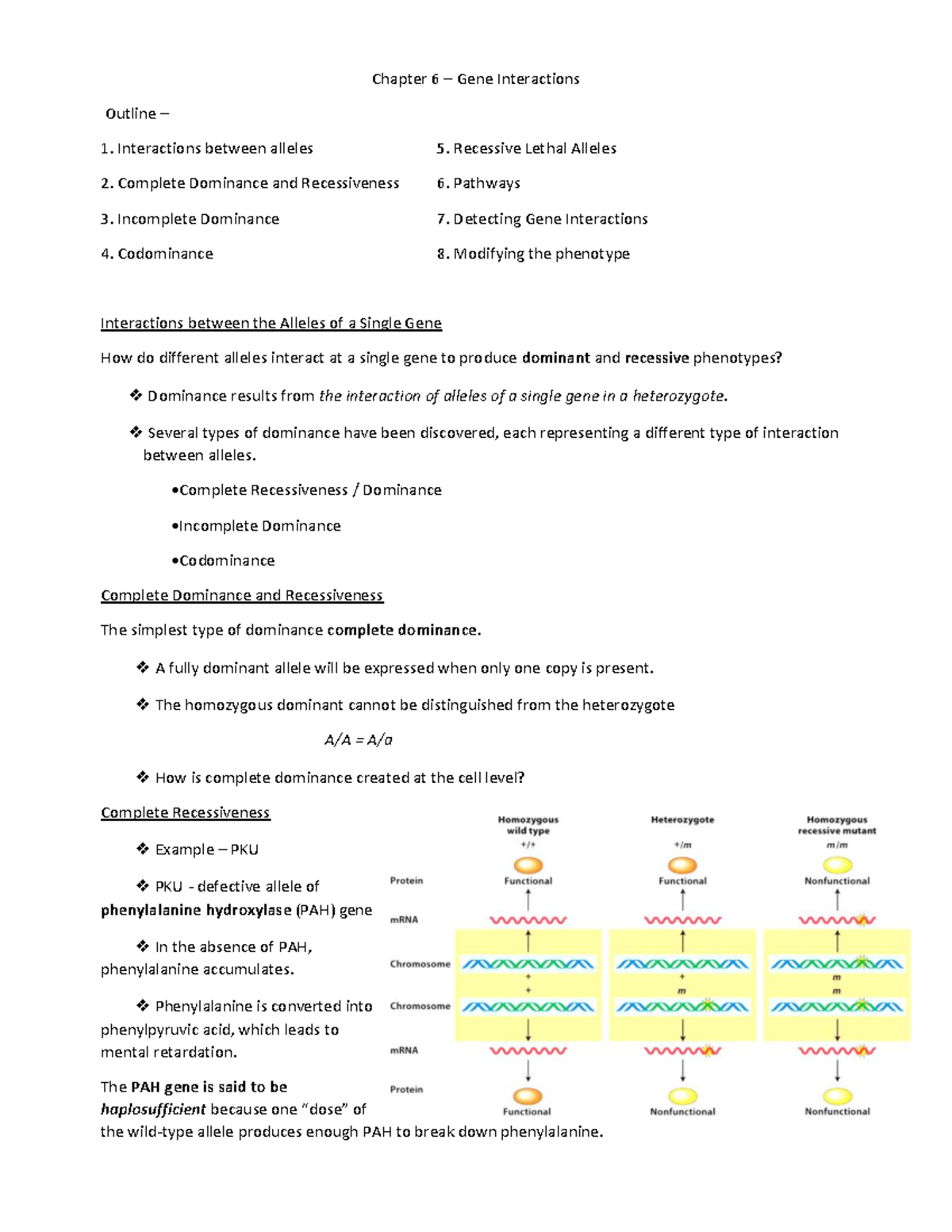 Chapter 6 - Gene Interactions - Chapter 6 – Gene Interactions Outline – Interactions between ...