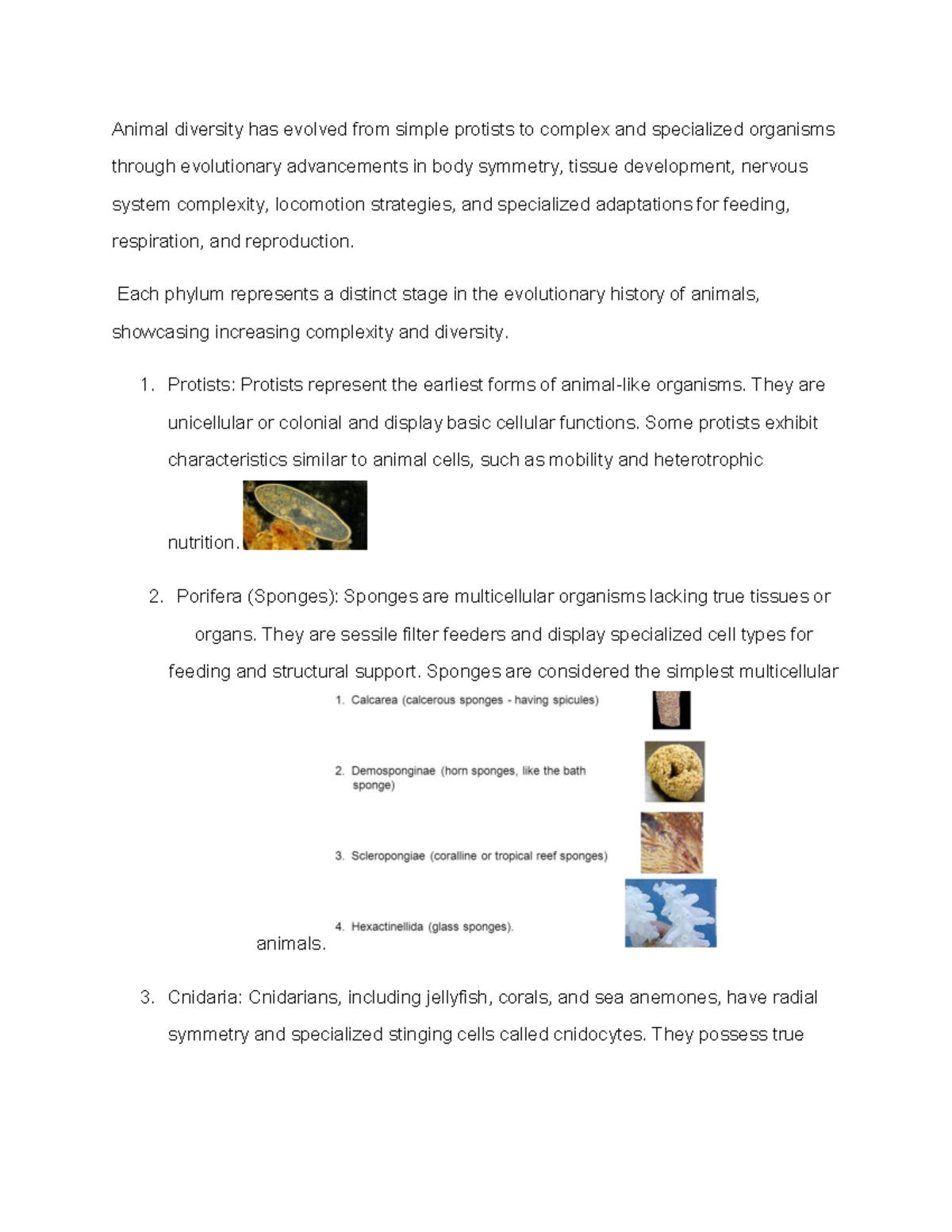 Summary Animal - Practice for bio112 test and exams Good luck ...