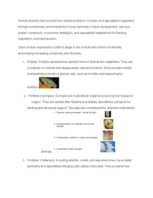 Animal Diversity LAB Manual 2016 - BIO112 DIVERSITY OF ANIMALS ...