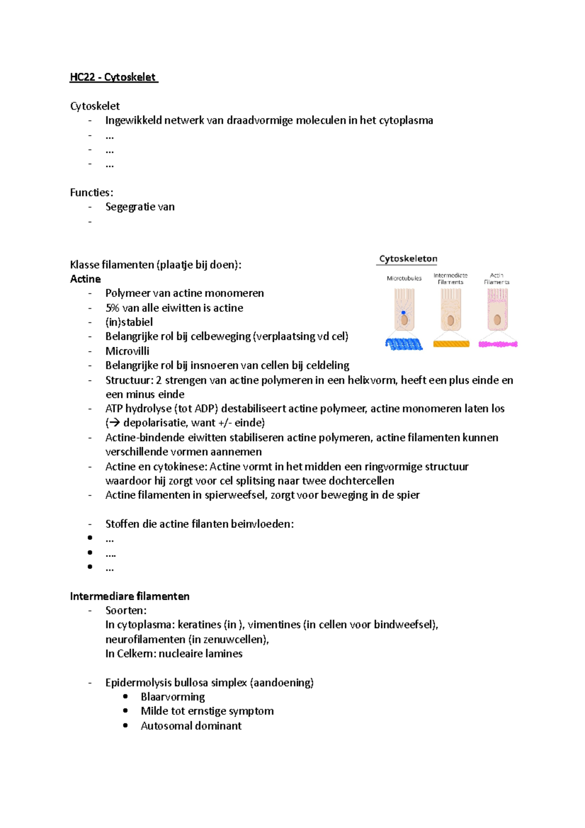HC22 & HC23 - Cytoskelet & extracellulaire matrix - HC22 - Cytoskelet ...