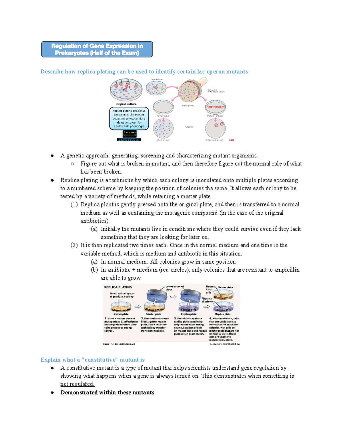 Regulation of Gene Expression in Prokaryotes - Describe how replica ...