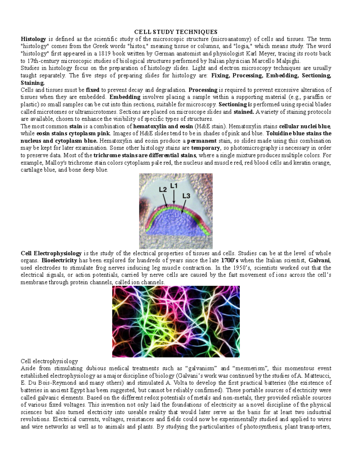 CELL Study Techniques - Célula - CELL STUDY TECHNIQUES Histology is ...