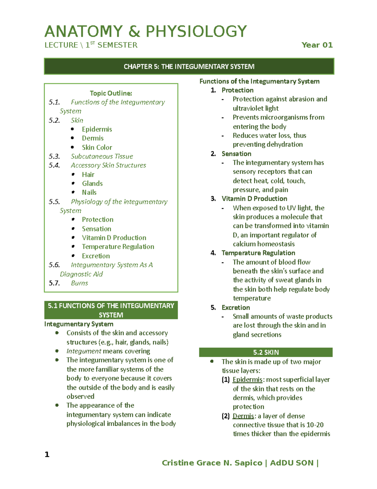 03 - The Integumentary System - ANATOMY & PHYSIOLOGY LECTURE \ 1ST ...