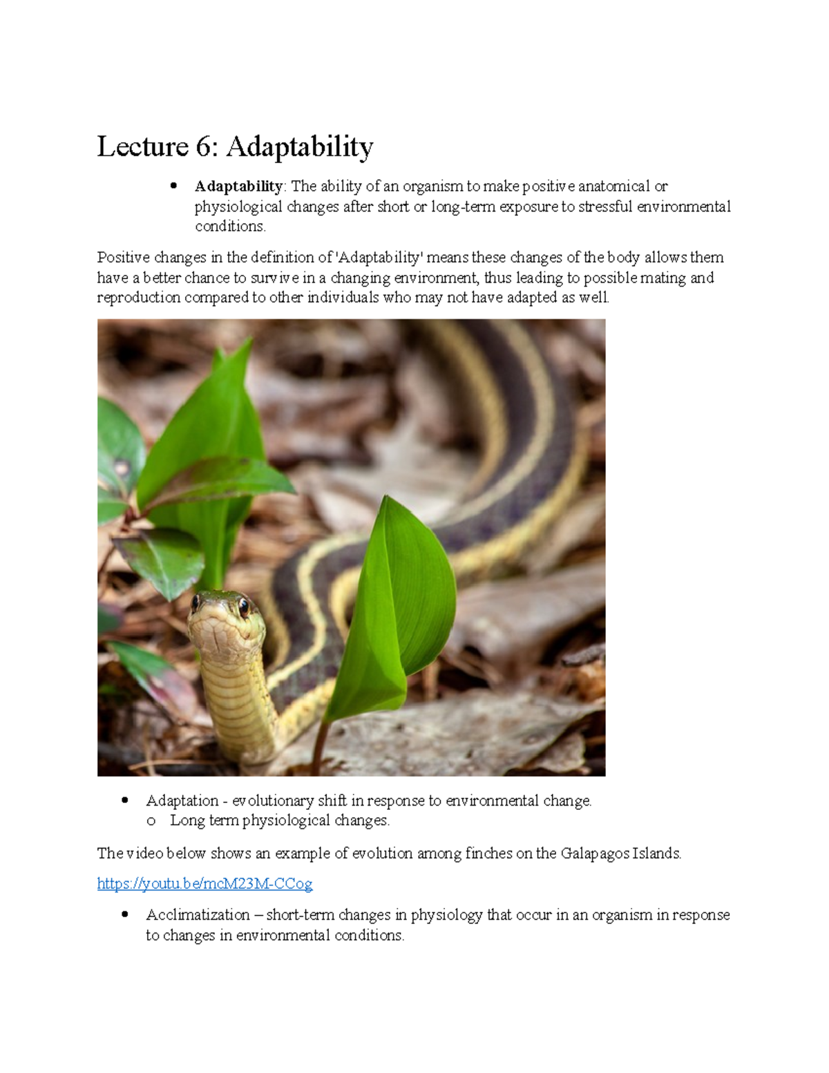 Lecture 6 Adaptability - Lecture 6: Adaptability Adaptability: The ...