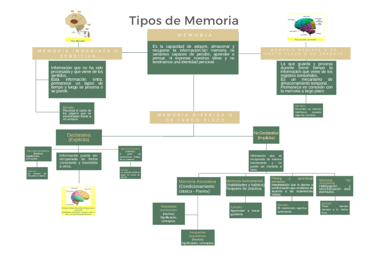 Tipos de memoria - Psicología Del Desarrollo Humano - Studocu