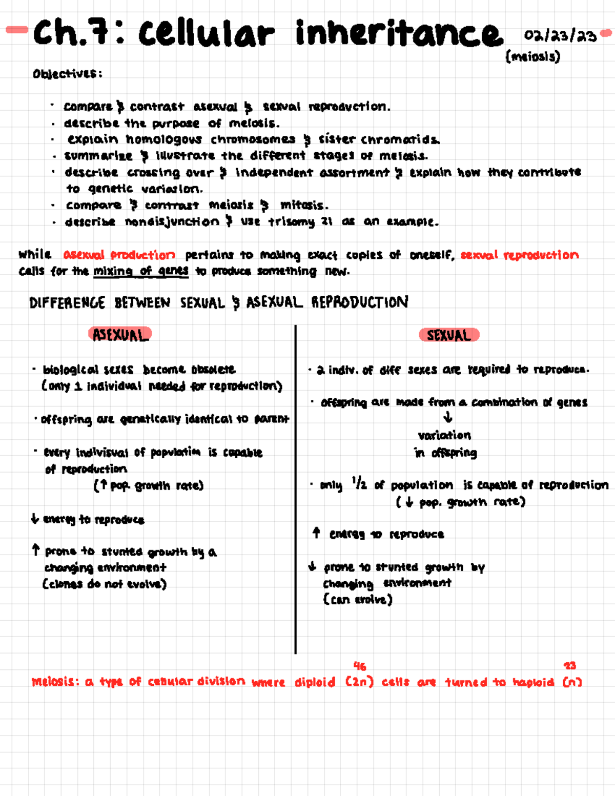 Ch 7- Cellular Inheritance (Meosis) - Ch:cellular inheritanceoblablab ...