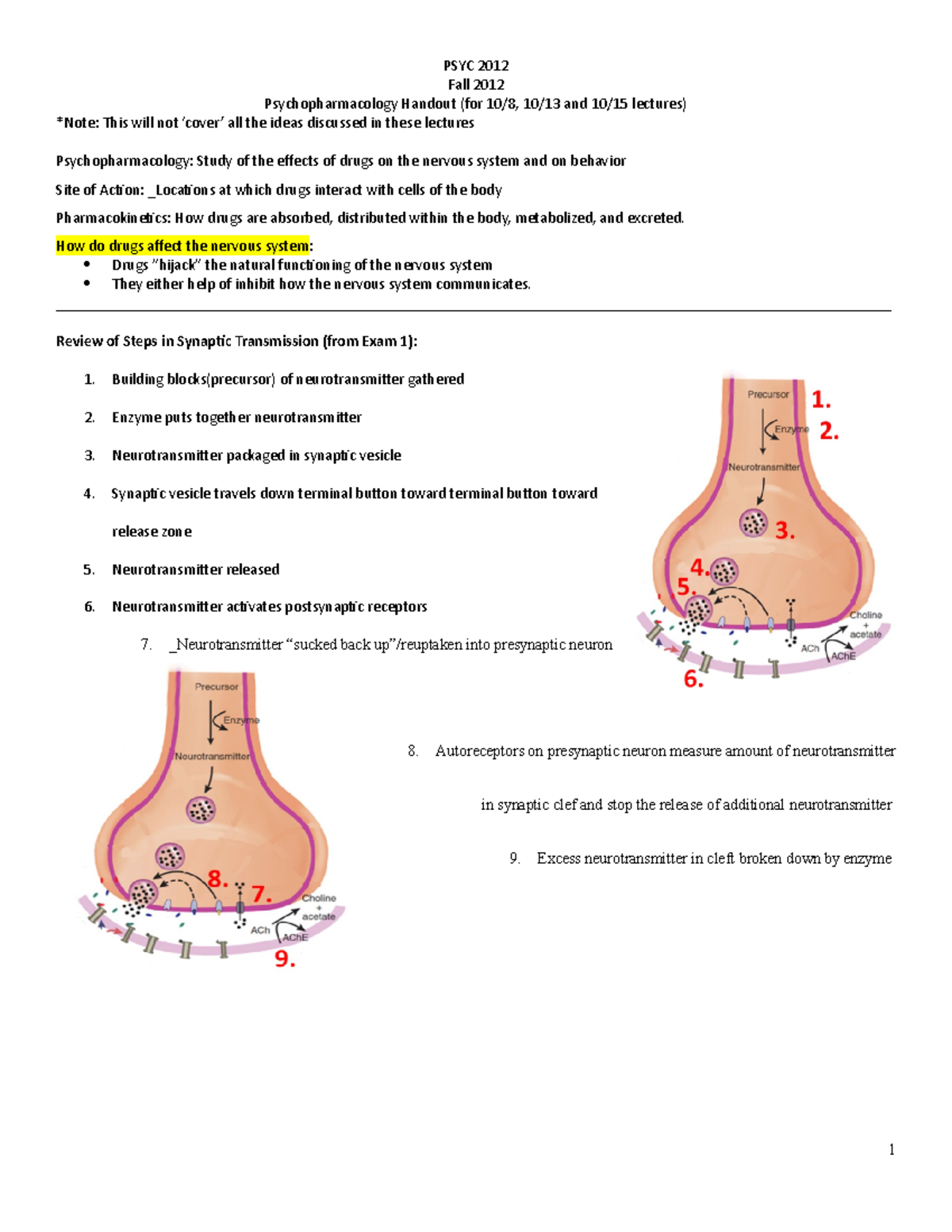 PSYC 2012 Psychopharmacology Handout (10-8, 10-13 and 10-15) - PSYC 2012 Fall 2012 - Studocu