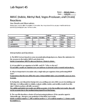 Lab Exercise 18 - Lab Report 18 Name: Michele Glantz Date: 5/28/19 ...