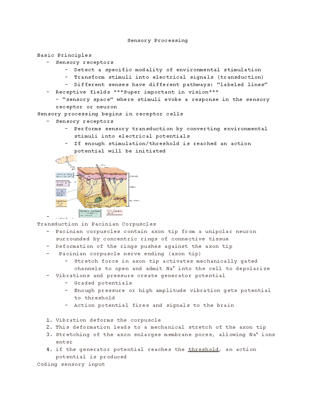 Week 8 - sensory processing- talking about sensory perception and how ...