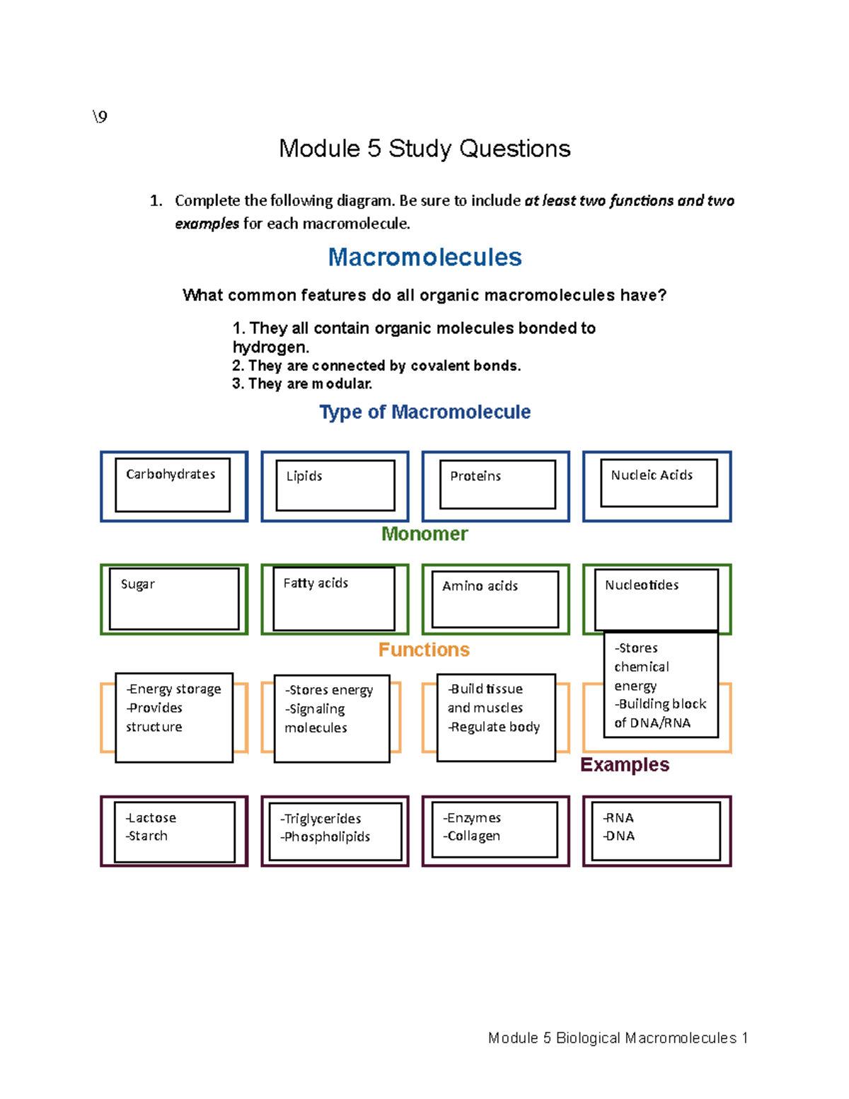 C190.v3 module 5 study questions - \ Module 5 Study Questions 1 ...