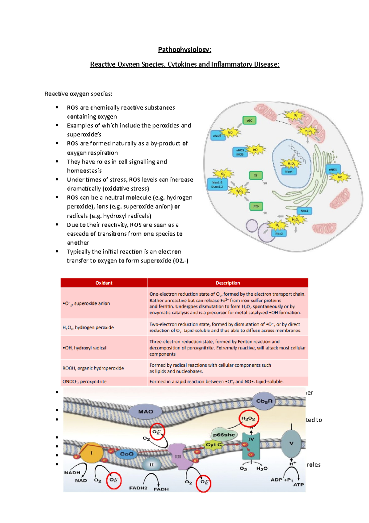 Lecture 4 - Reactive Oxygen Species, Cytokines and Inflammatory Disease ...