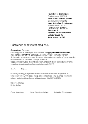 Disposition eksempel til prøveeksamen - Navn: Lisbeth Bak Holdnummer ...