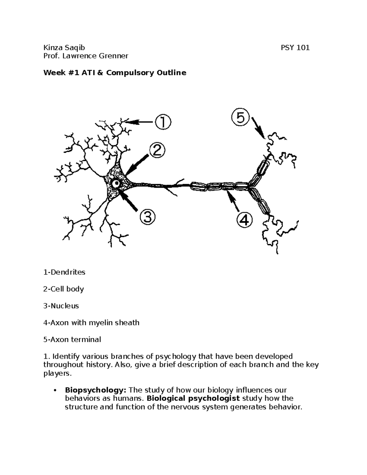 PSY 101 - Study Guide: Branches of Psychology & Sleep Stages - Kinza ...