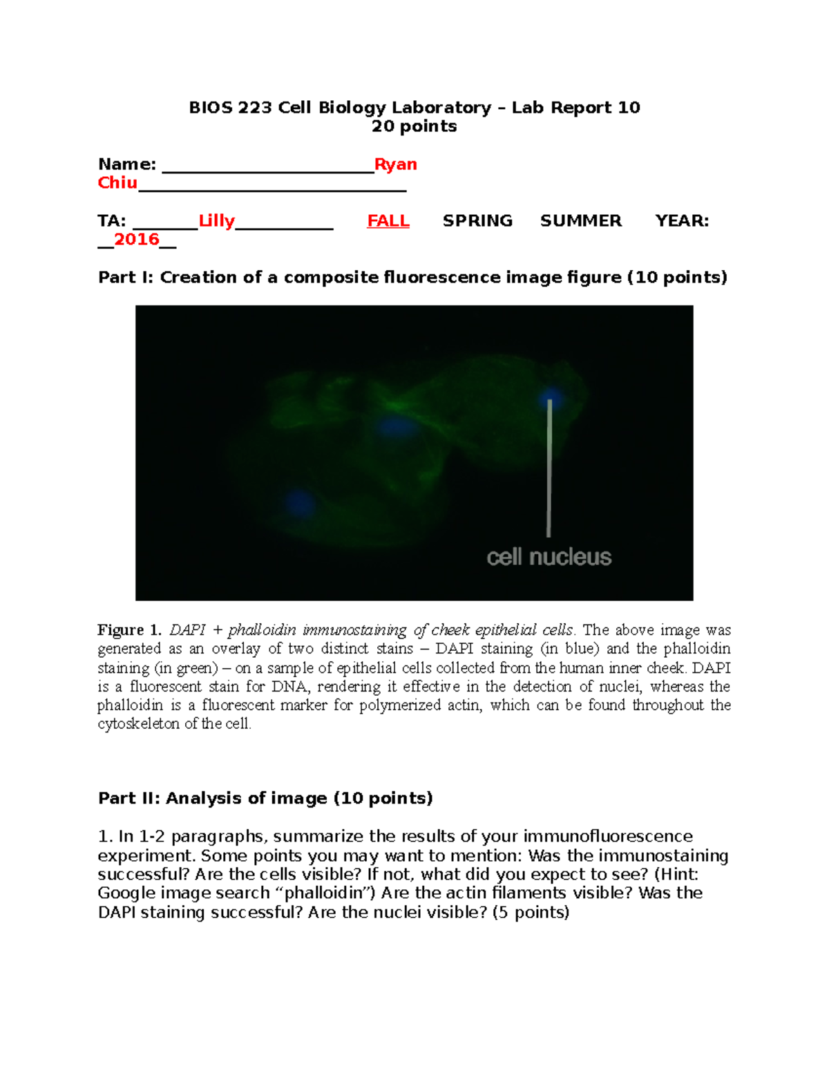 Chiu Ryan Lab Report 10 - BIOS 223 Cell Biology Laboratory – Lab Report ...