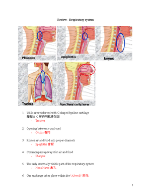 Assessment Form ABD T4 - Nursing Documentation (1) – Nursing Health ...