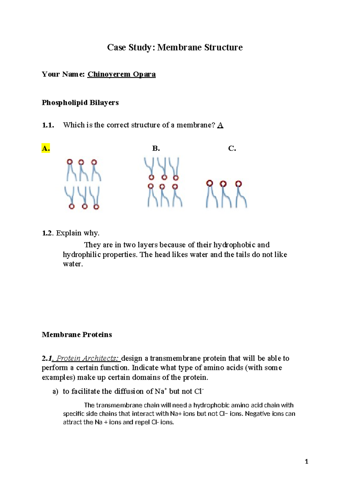 Case study Membrane Structure - Case Study: Membrane Structure Your ...