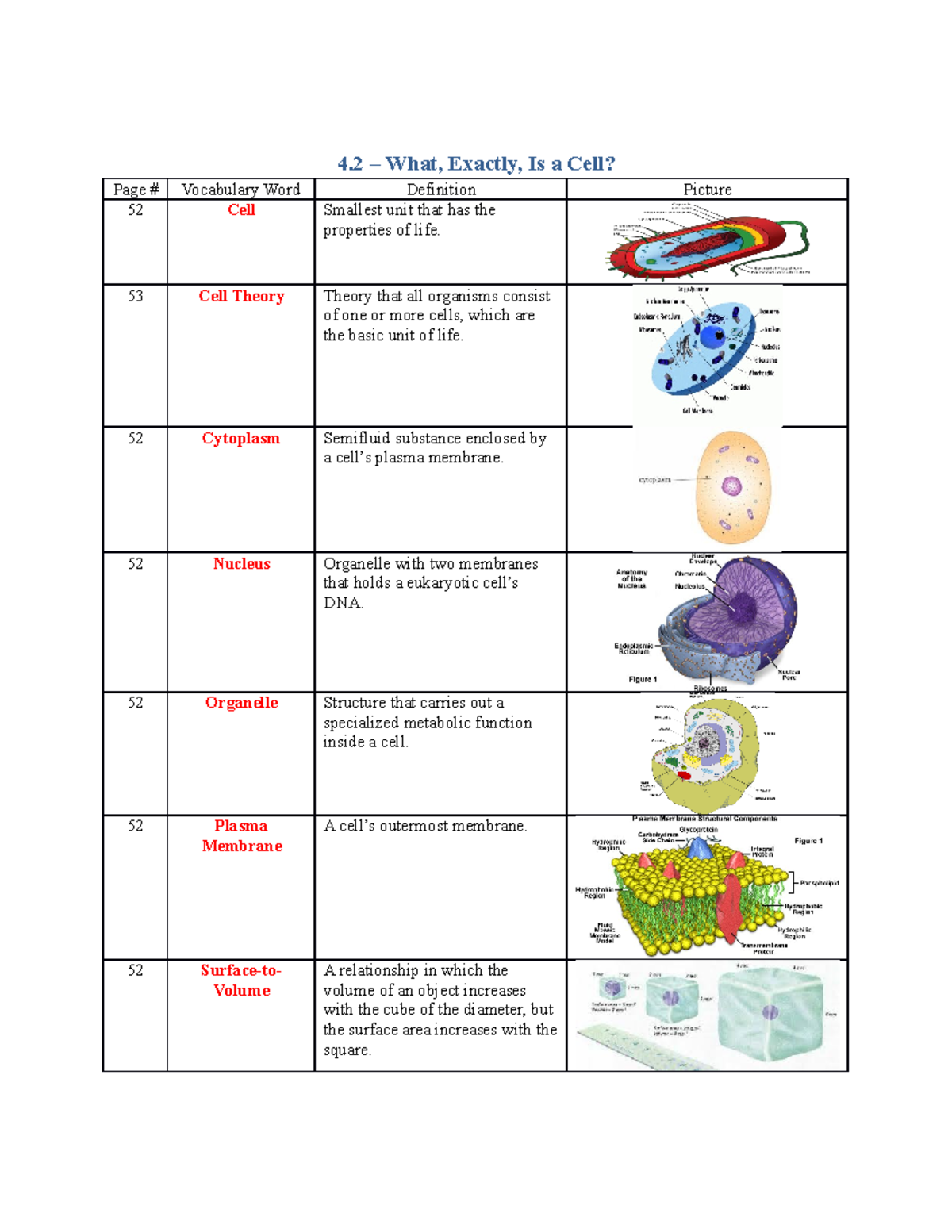 4.1and4 - Lecture notes 4.1and4.2and4.3 - 4 – What, Exactly, Is a Cell ...