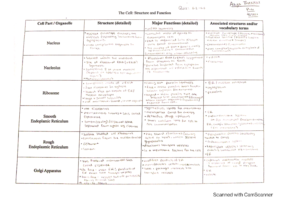 AP Bio organelles chart - Studocu