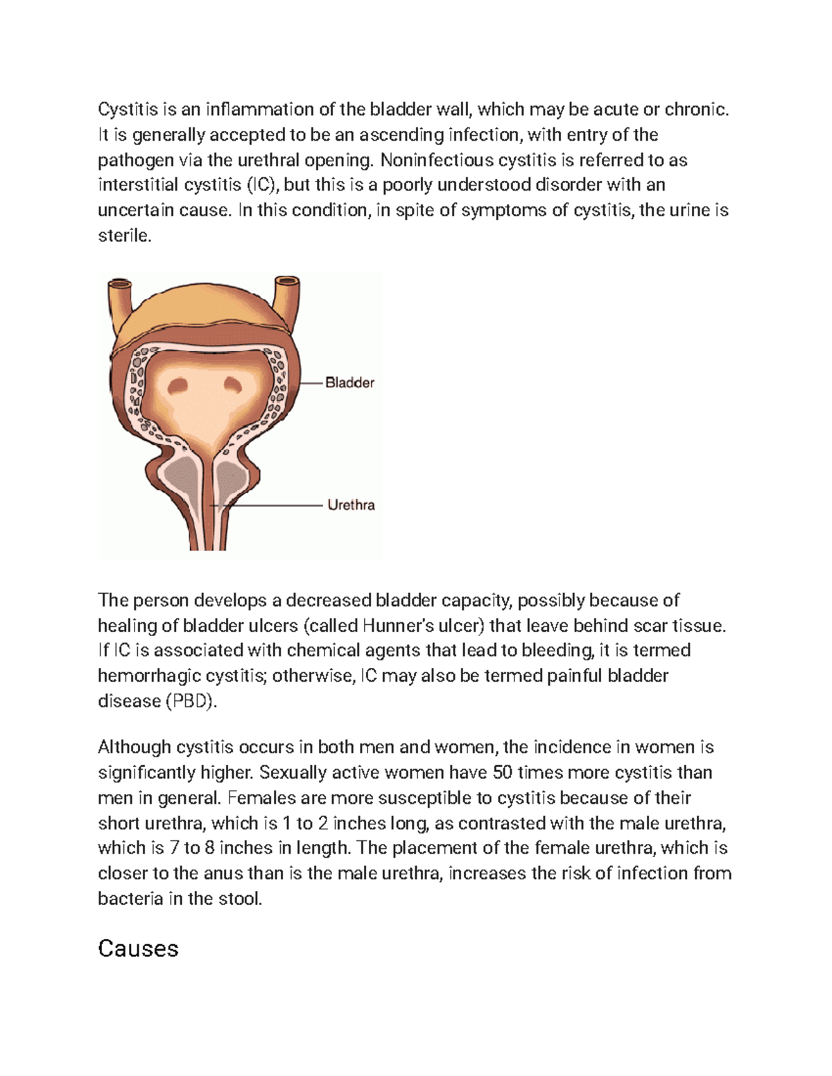 Cystitis - carmines - Cystitis is an inflammation of the bladder wall ...