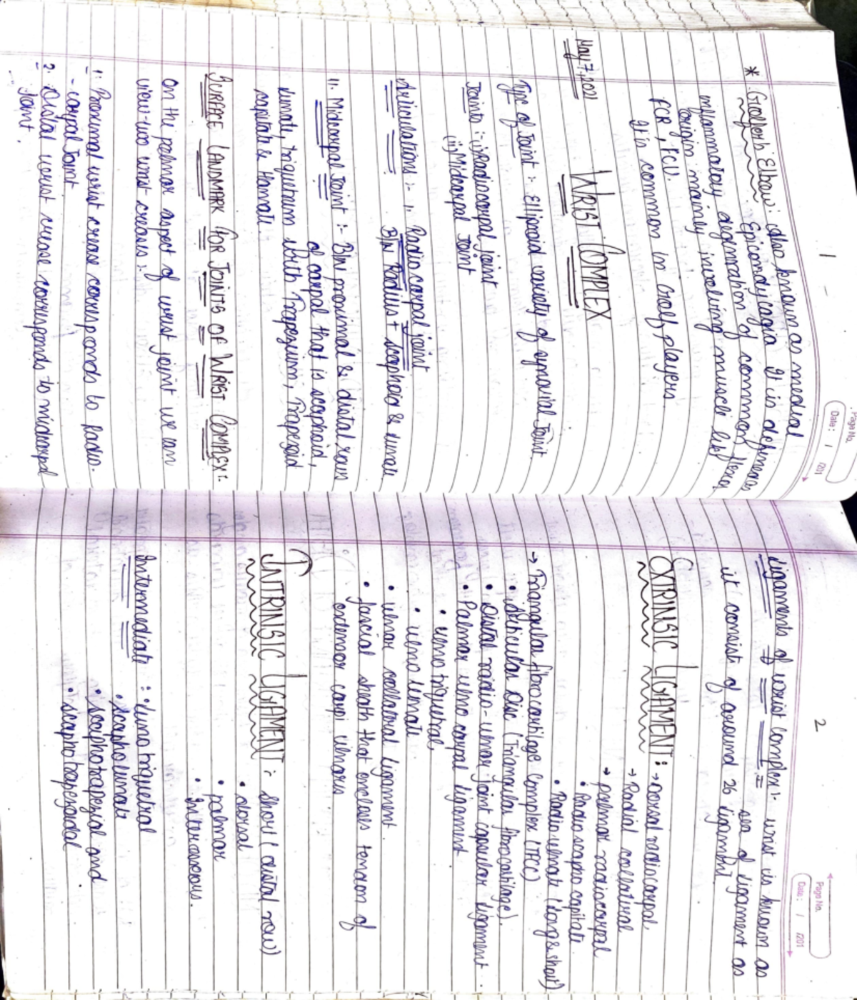 Wrist and hand - Notes Of Human Anatomy and Physiology BP201T ...