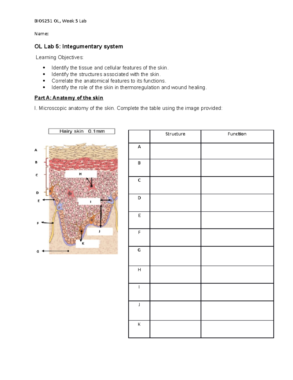 Final LABS BIOS251 Online Labs Week 5-Integumentary system lab - Name ...