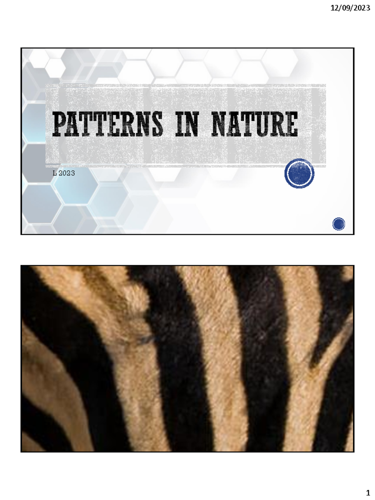 Chapter 1 Lesson 1 Patterns In Nature - Clinical Parasitology - L waves ...