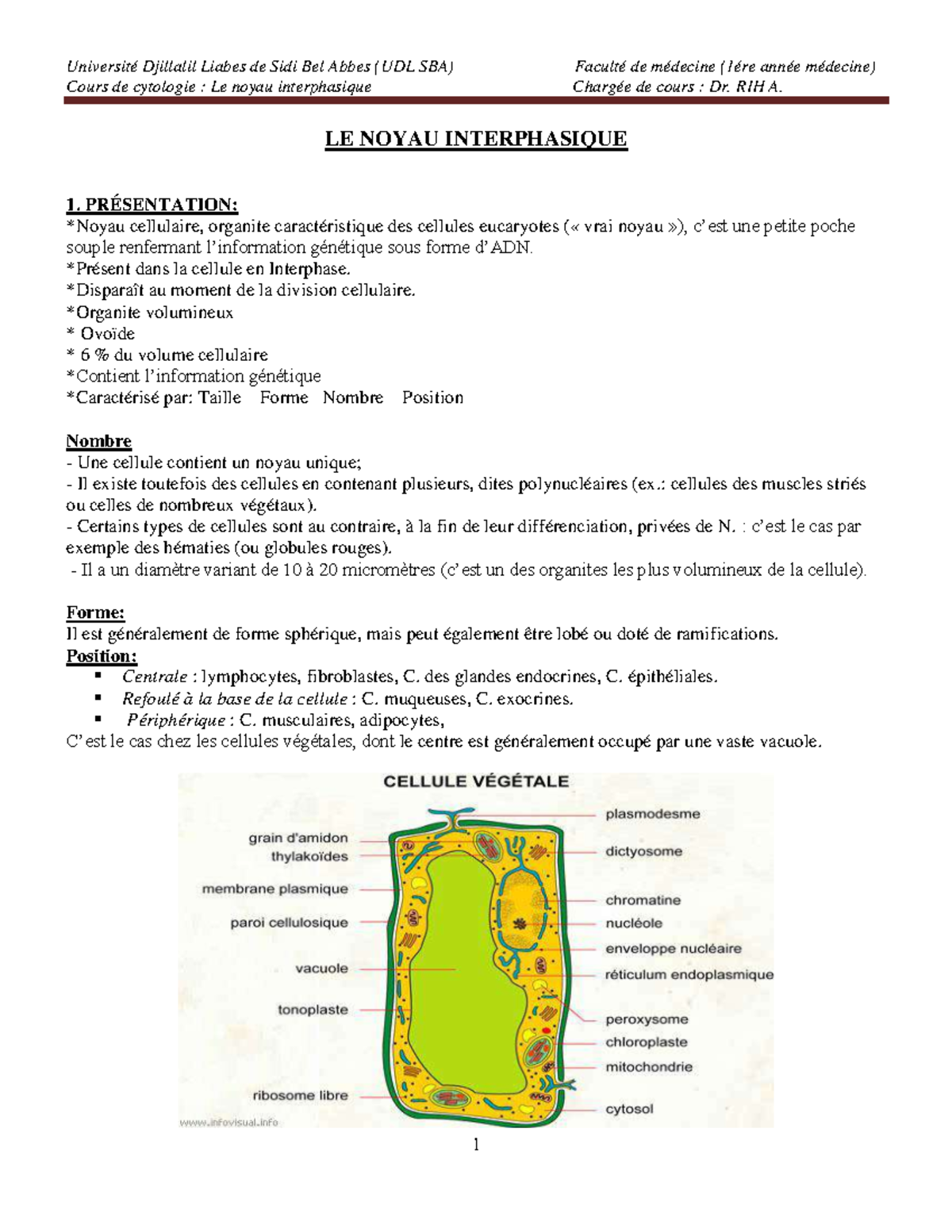 Cyto1an22-noyau interphasique rih - Cours de cytologie : Le noyau ...