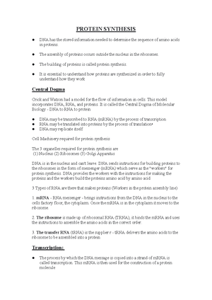 Proteins structure and function - Proteins : Structure and function ...
