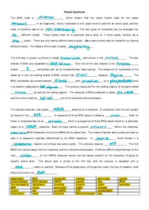 Protein Synthesis Questions - Completed - The diagram below represents ...