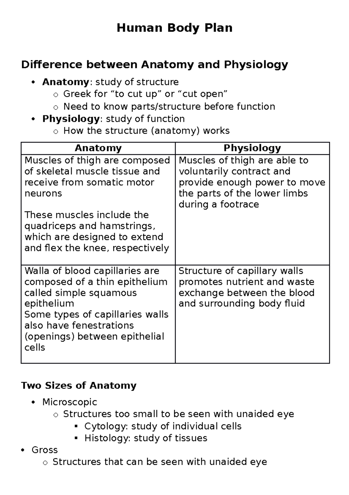 Human Body Plan Human Body Plan Difference Between Anatomy And