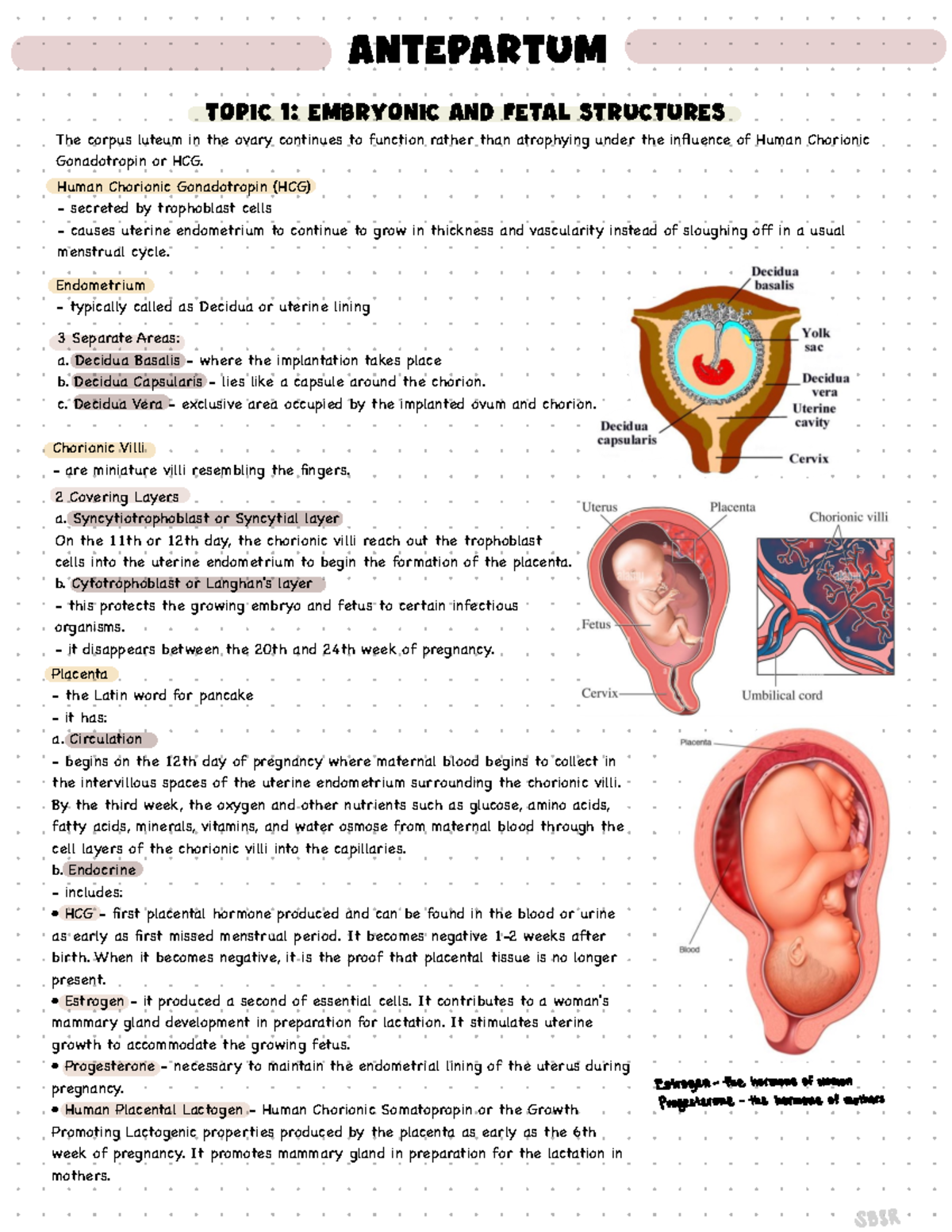 Inbound 5303006196438652699 - ANTEPARTUM Topic 1: EMBRYONIC AND FETAL ...