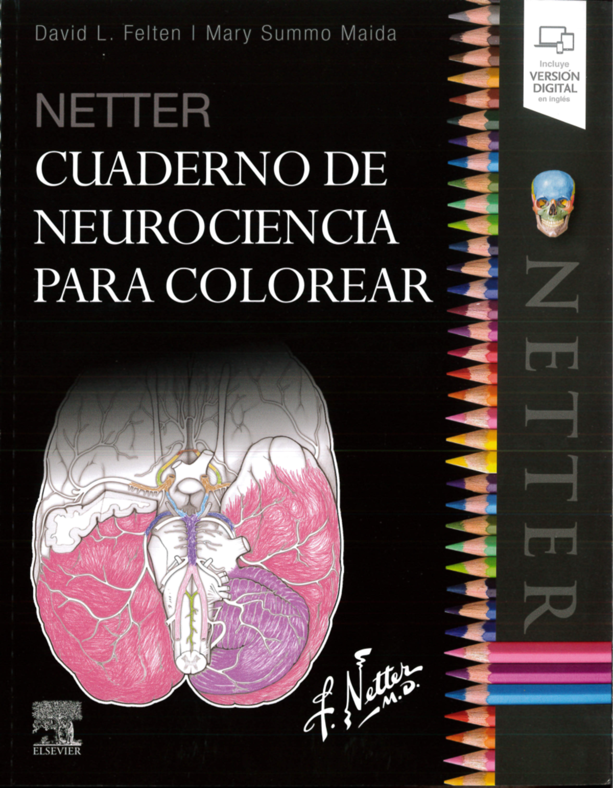 L%C3%A1minas%20para%20colorear%20Neuroanatom%C3%ADa - Neuroanatomía y ...