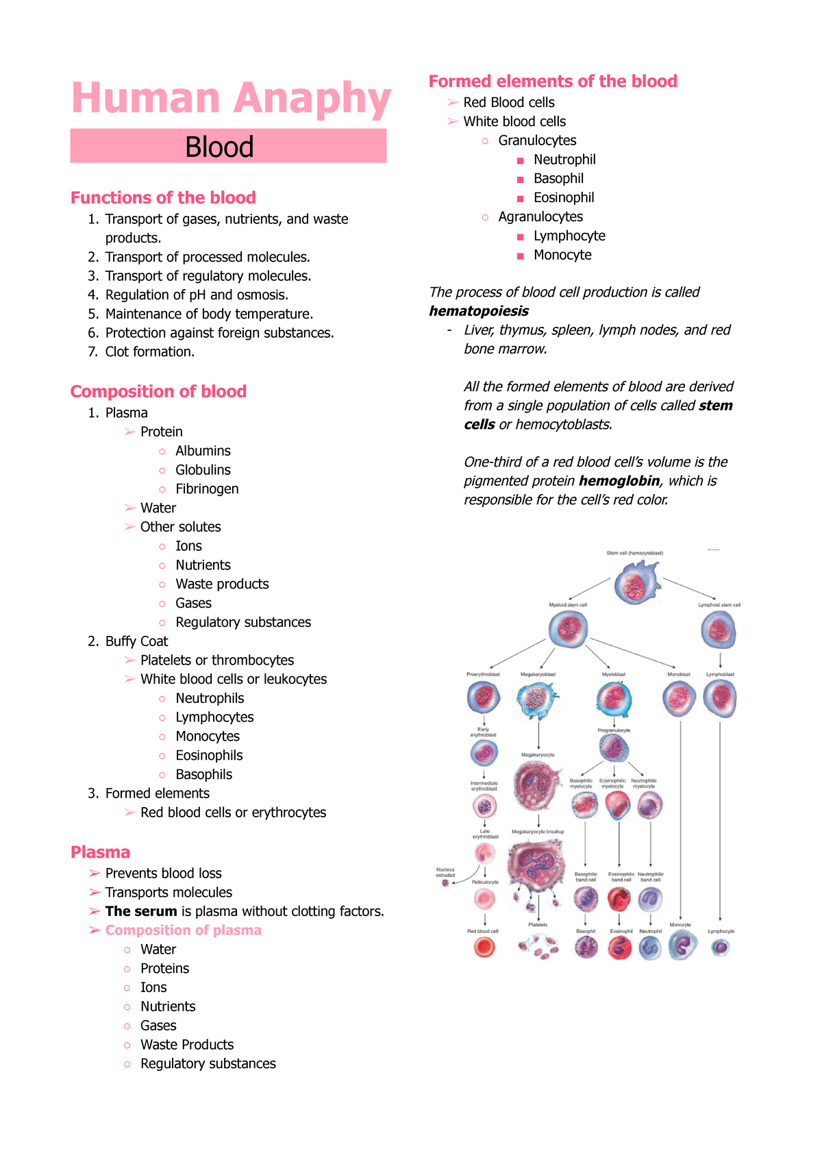 Human-Anaphy - Human Anaphy Blood Functions of the blood Transport of ...