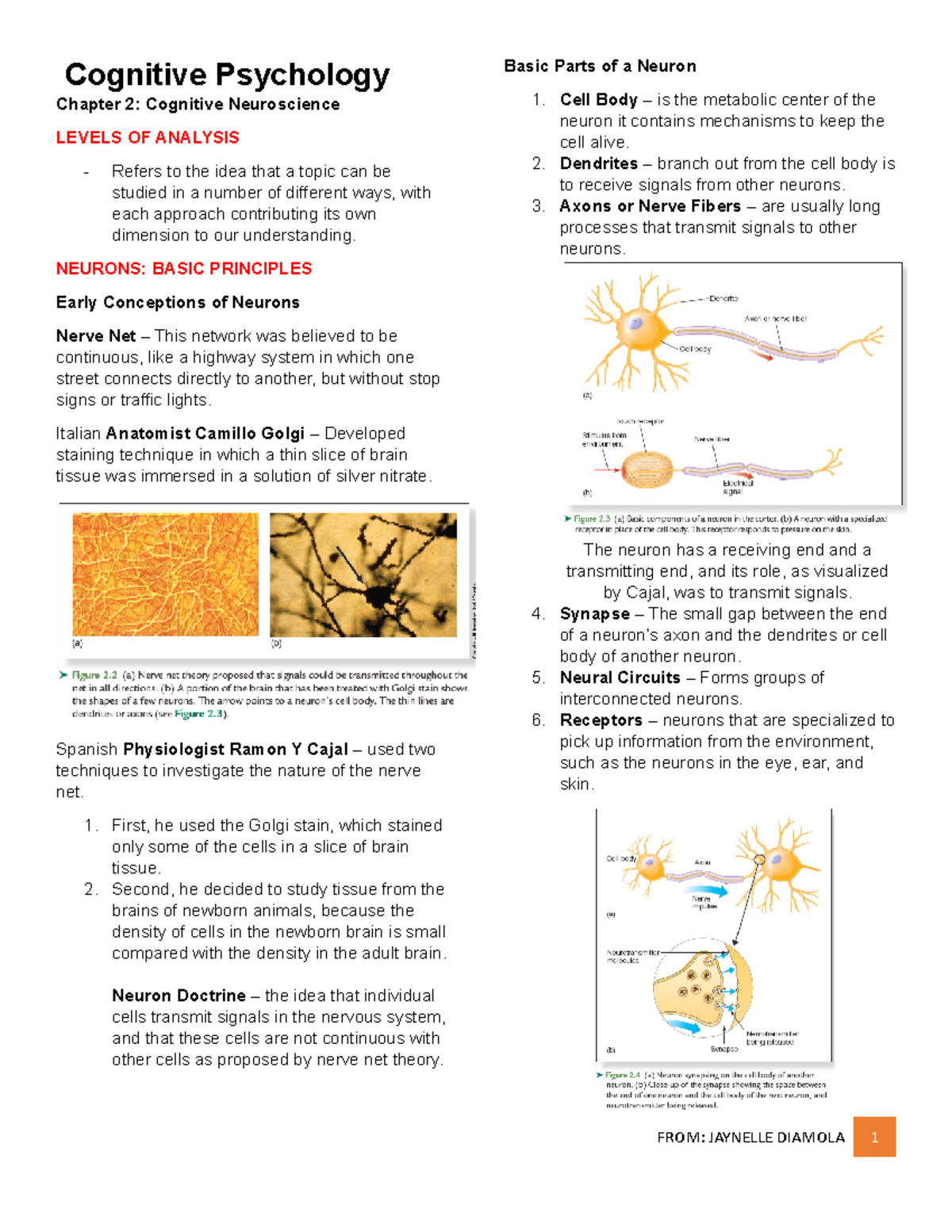 Cognitive Psychology Chapter 2 Notes - Cognitive Psychology Chapter 2 ...