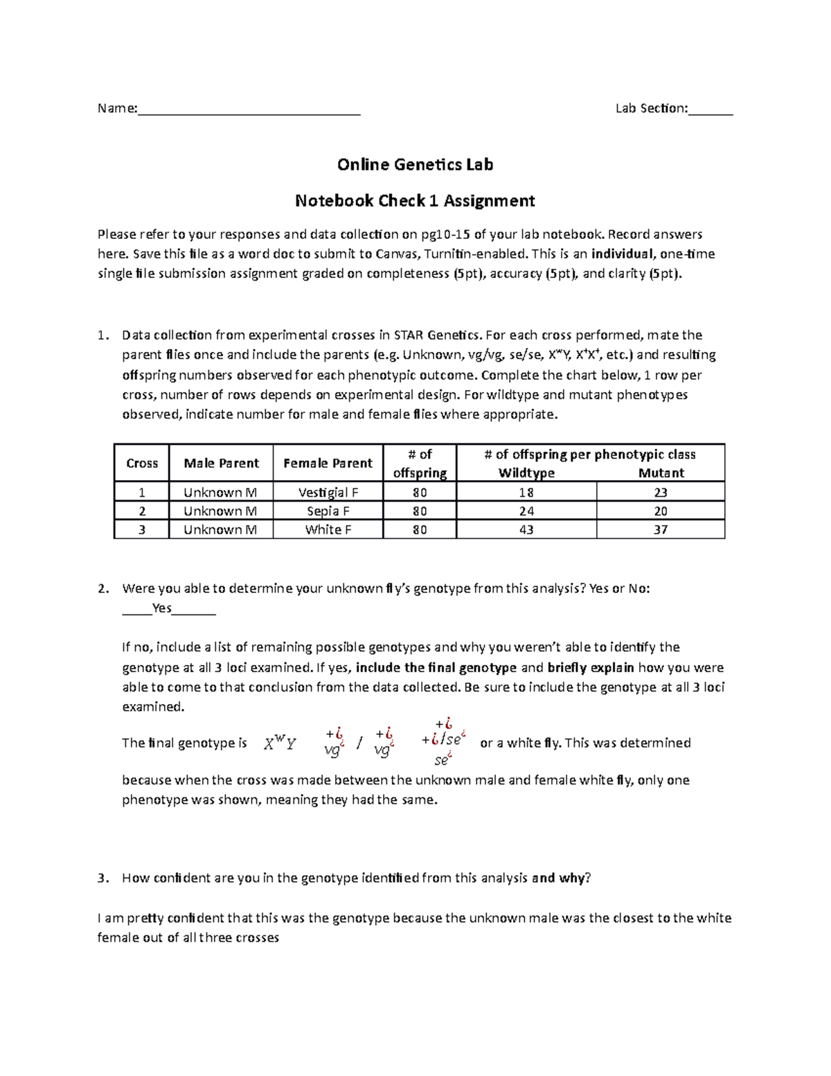 Notebook Check 1 - Name:______________________________ Lab Secion ...