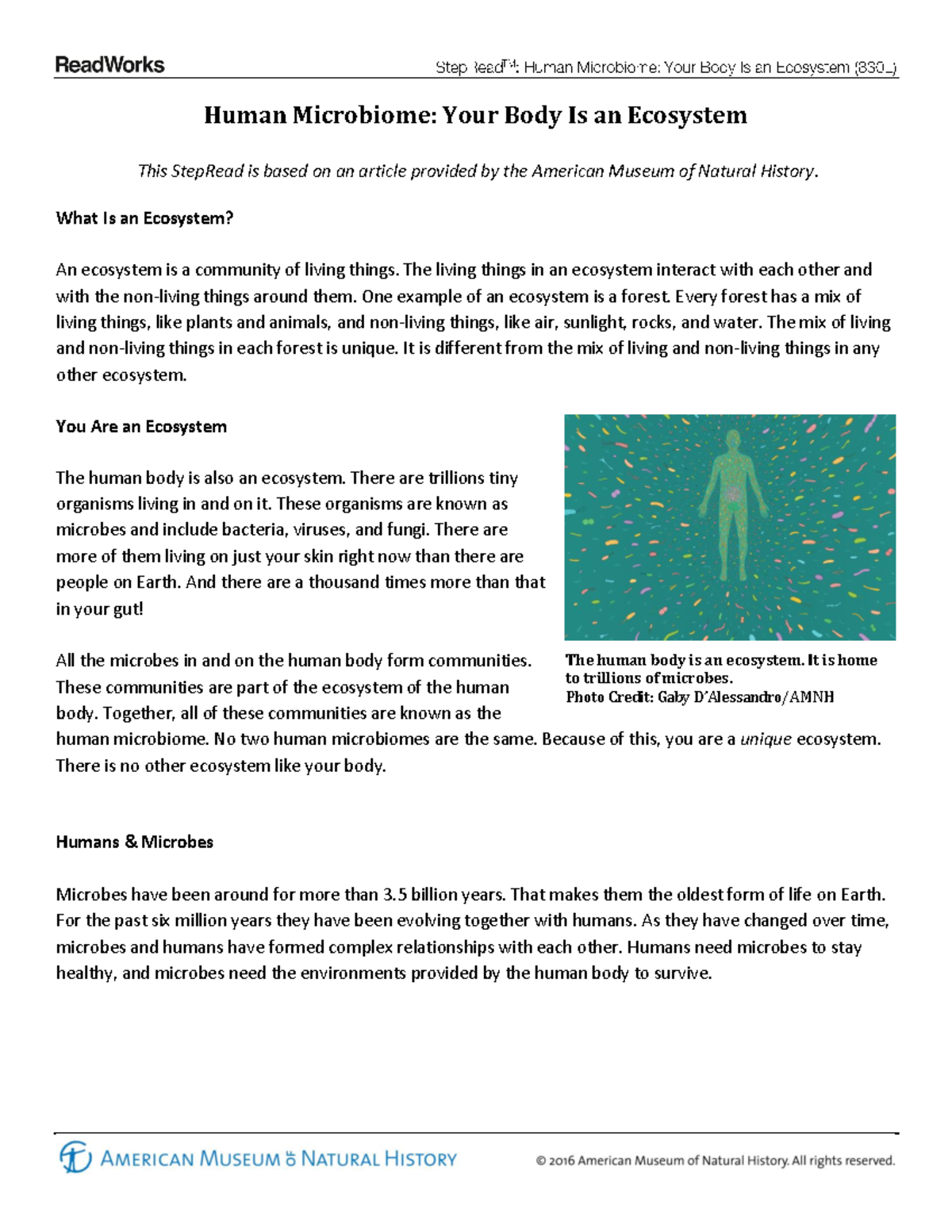 Human microbiome your body is an ecosystem stepread 1 - Bio-Chemistry ...