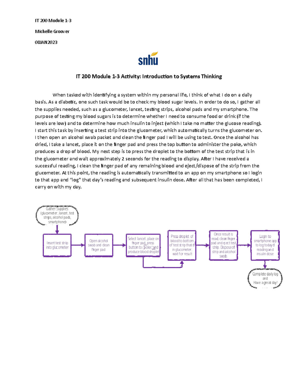 IT 200 Module 1-3 Introduction to Systems Thinking - IT 200 Module 1- Michelle Groover 08JAN IT ...