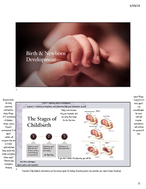 Chapter 5: Cognitive Development in Infancy - Chapter 5: Cognitive development in infancy ...