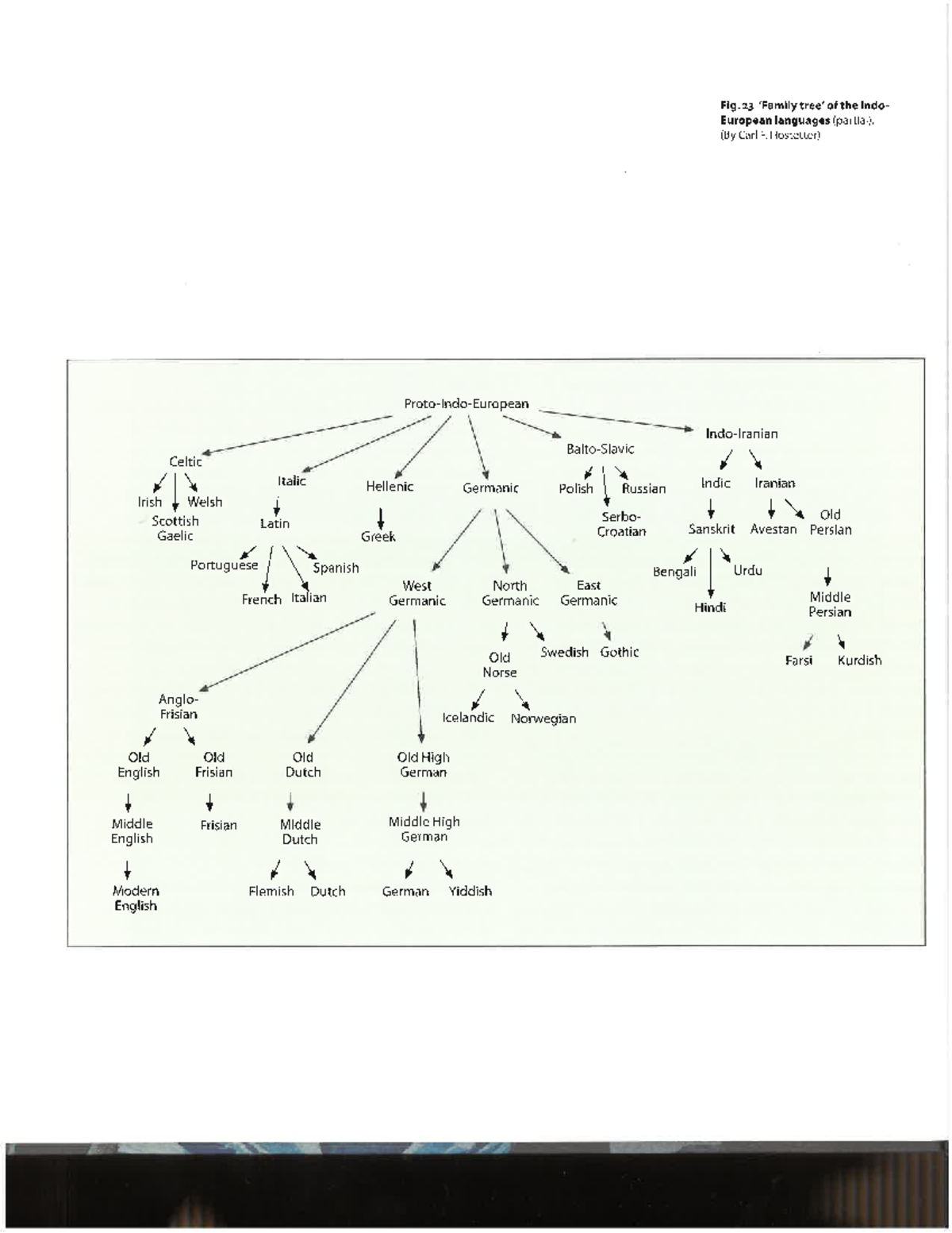 1.Indo-European language chart - ENG 221 - Studocu