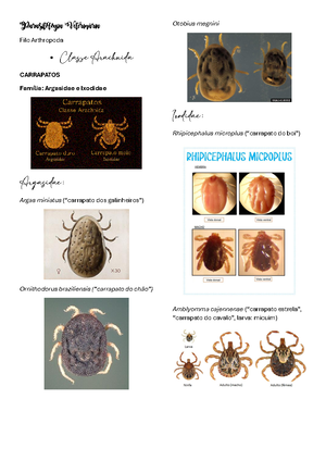Ácaros - Resumo Parasitologia Veterinária - Parasitologia Veterinária Ácaros Causadores de sarna ...