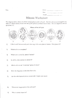 Chicken Leg Lab Dissection Lab Report - Tissue and Membranes Lab ...