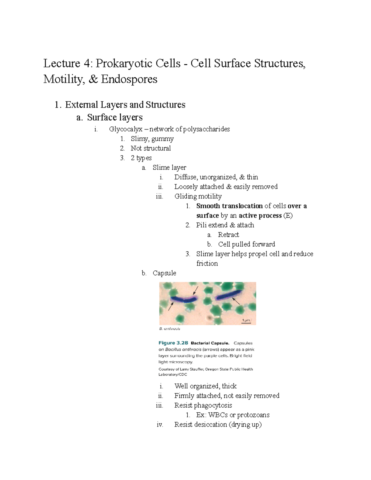 Microbiology Lecture 4 - Lecture 4: Prokaryotic Cells - Cell Surface ...