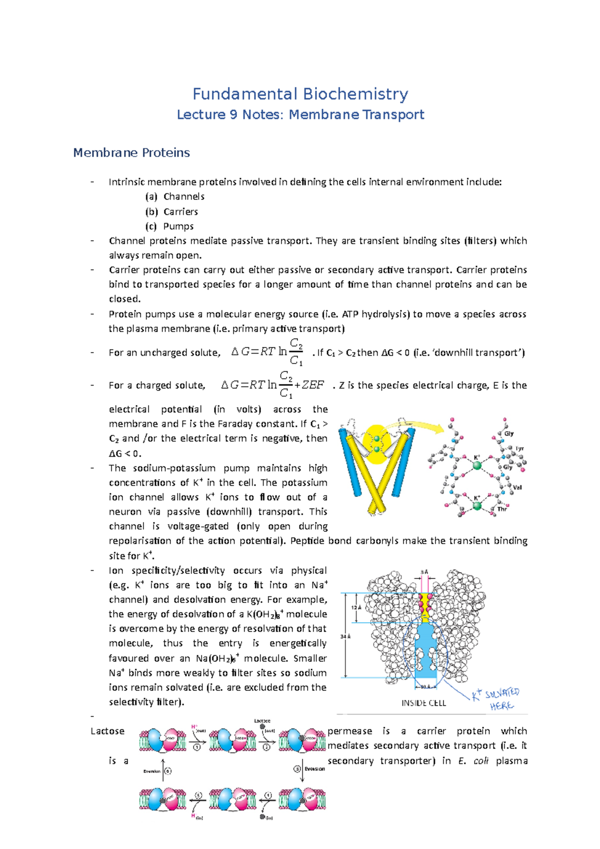 Lecture 9 Notes (Membrane Transport) - Fundamental Biochemistry - RHUL ...