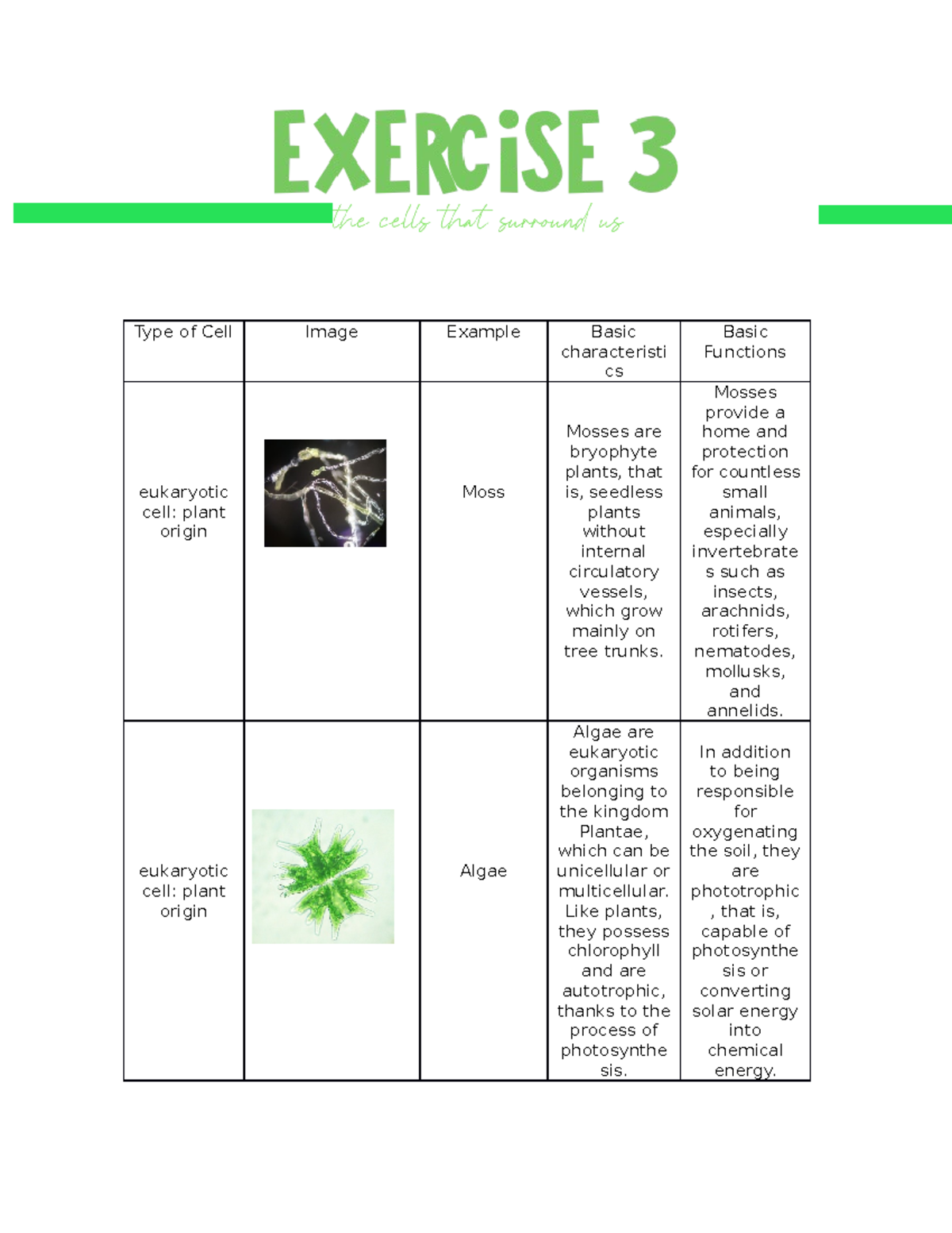 Exercise 2 Cells LIFE Science - Type of Cell Image Example Basic ...