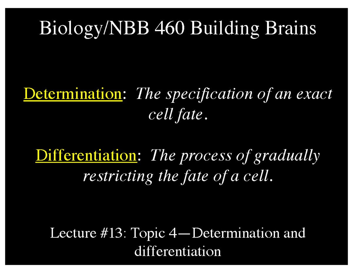 Lecture 13 Topic 4 Determination and differentiation - Biology/NBB 460 ...