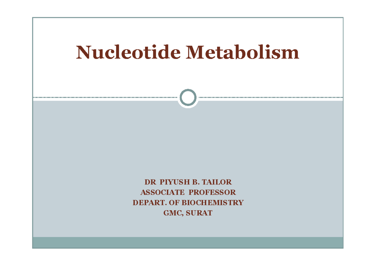 Metabolism Nucleotide - - Studocu