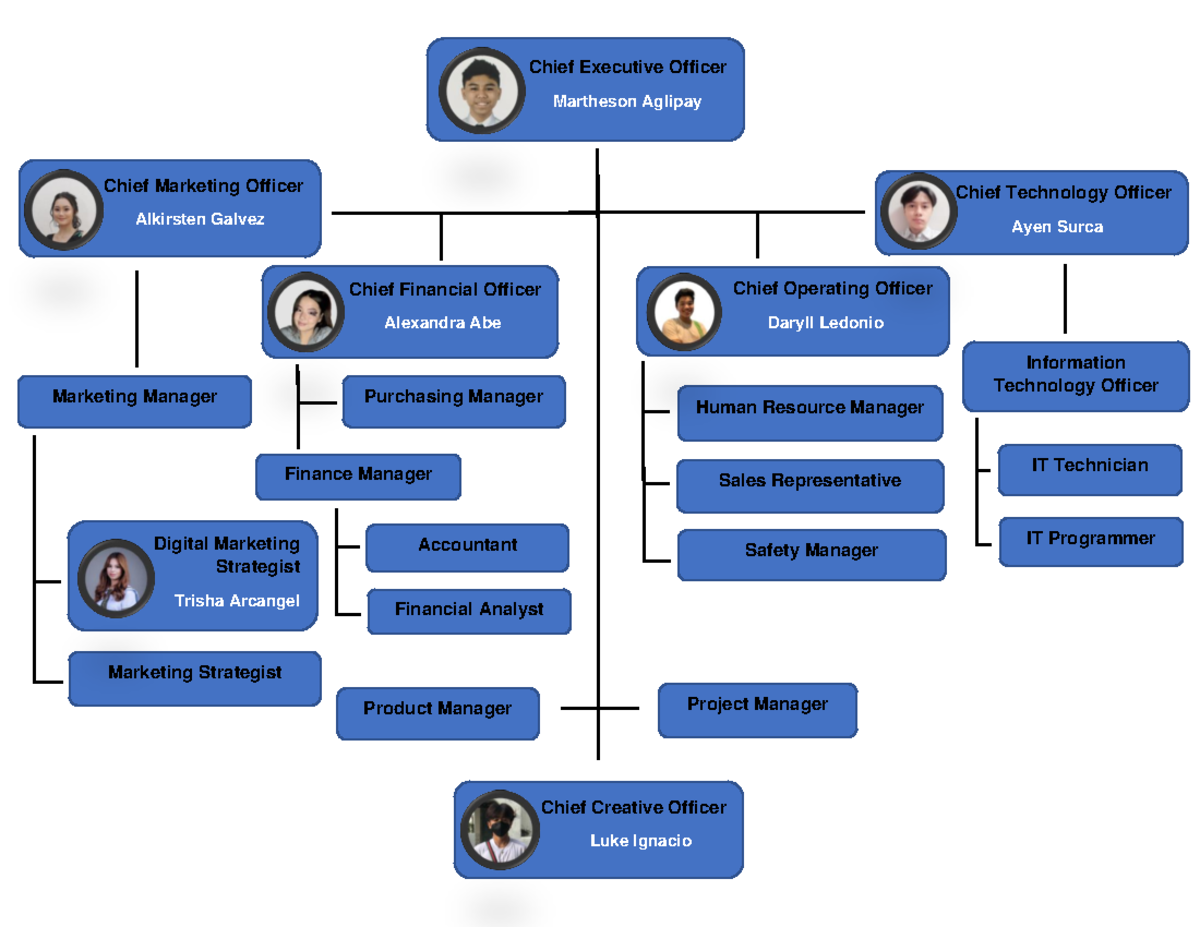 ORG MAN Organizational Structure - Chief Executive Officer Martheson ...