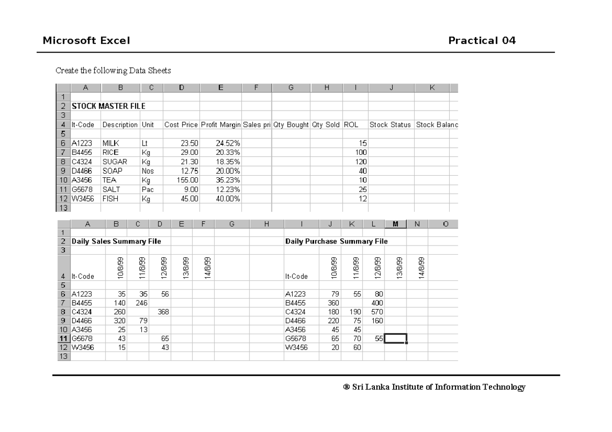 Practical 3 - net work - Microsoft Excel Practical 04 Create the ...