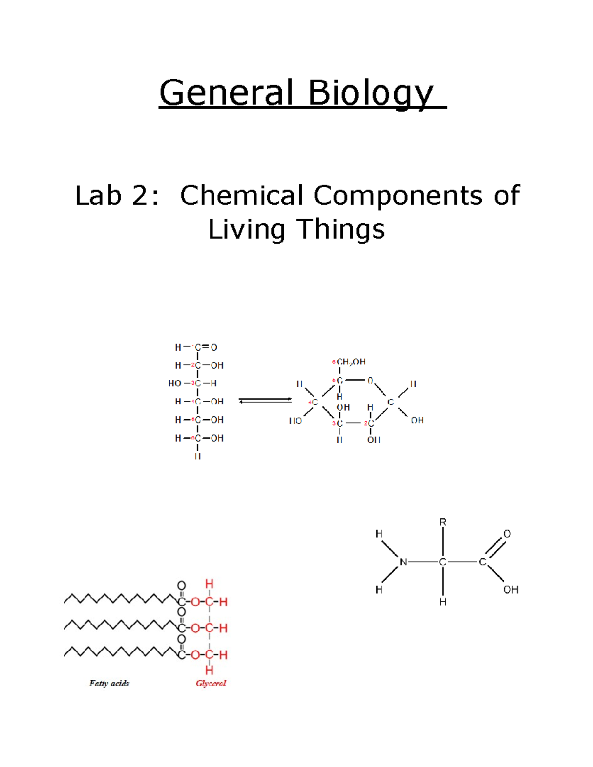 Lab 2 - Chemical Components of Living Things - General Biology Lab 2 ...