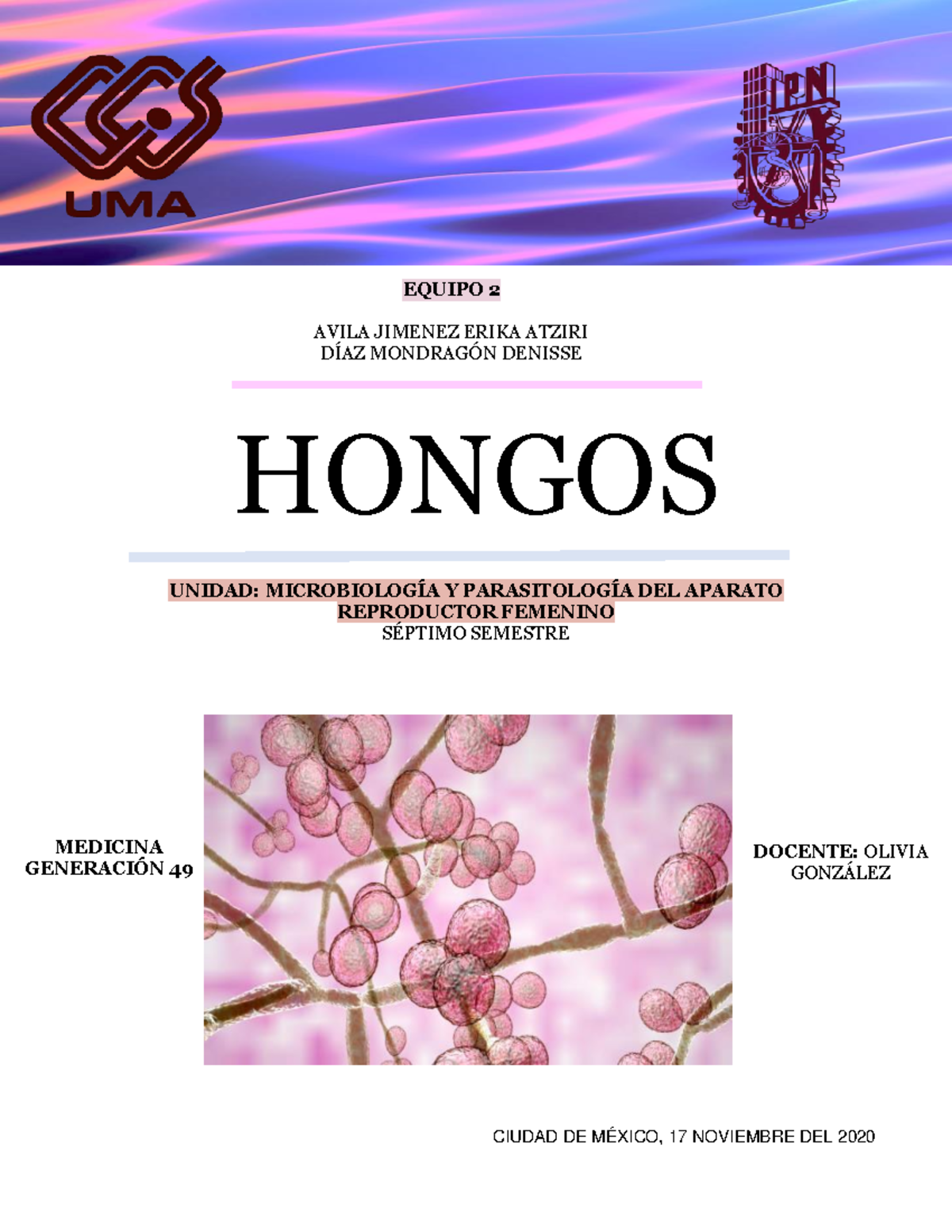 Equipo 2- Hongos - Apuntes 1 - ####### EQUIPO 2 ####### AVILA JIMENEZ ...